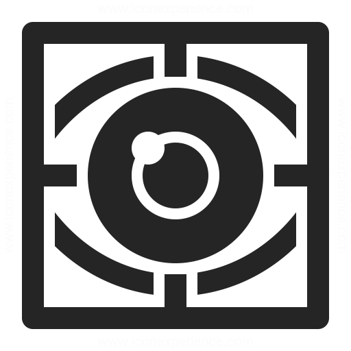 Eye Scan Icon & IconExperience - Professional Icons » O-Collection